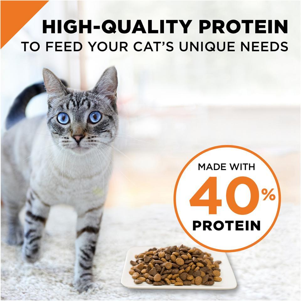 Purina Pro Plan Savor Chicken & Rice Formula Dry Cat Food ...